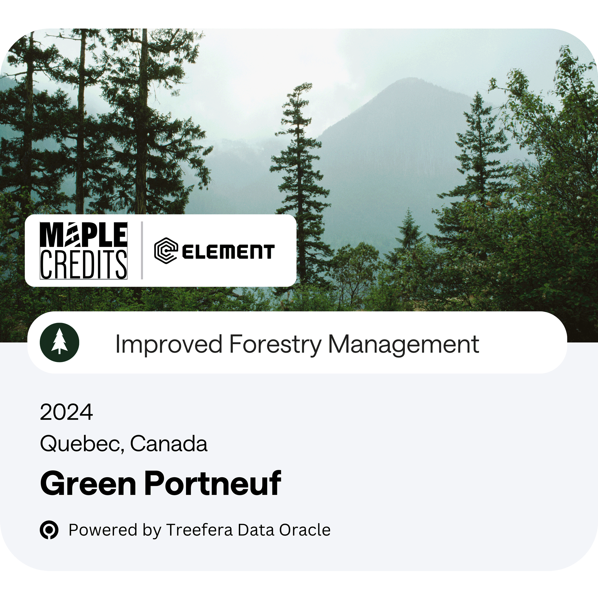 Element - Store [filter]